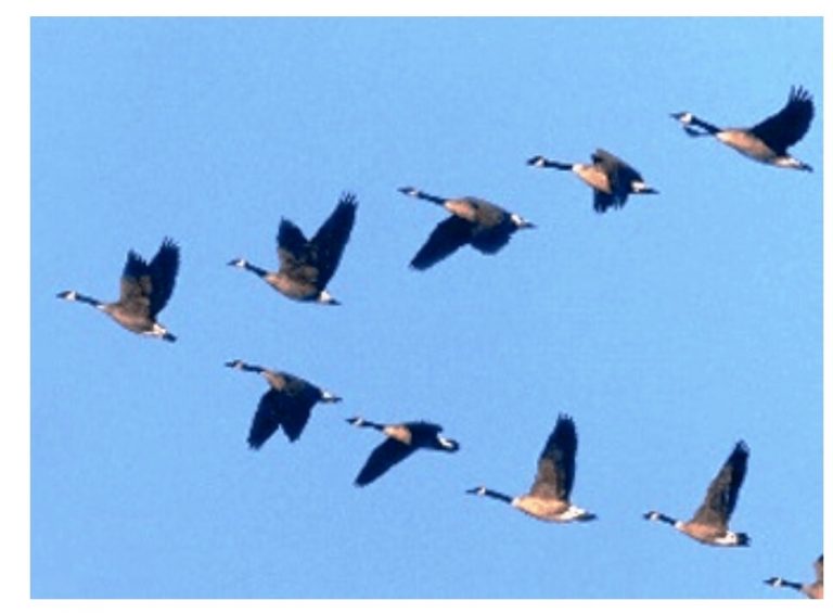 English Short, Moral Story “A Sense of A Goose” for Kids and Children ...