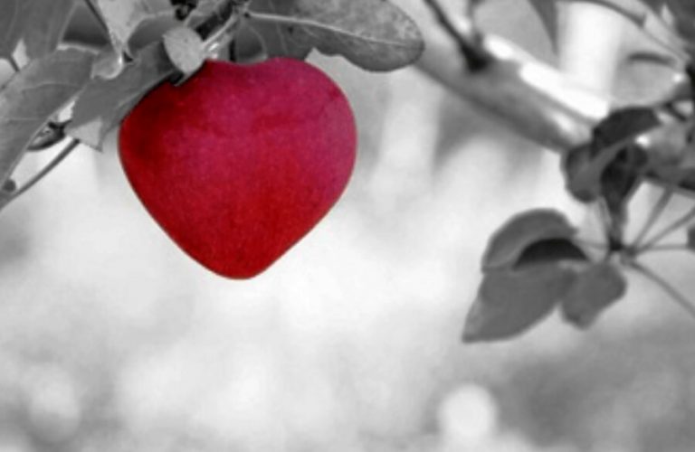 English Short, Moral Story “The Most Beautiful Heart” for Kids and ...